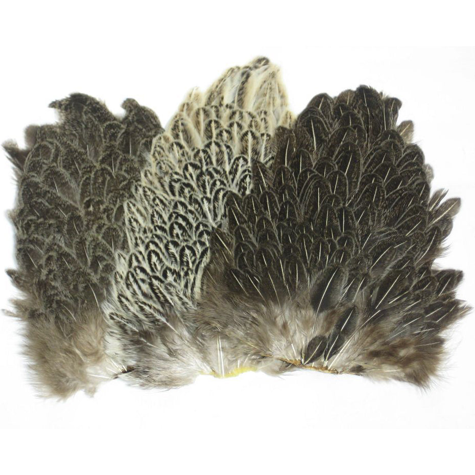 Soft Hackle Hen Saddle Patch | Wapsi | J Stockard