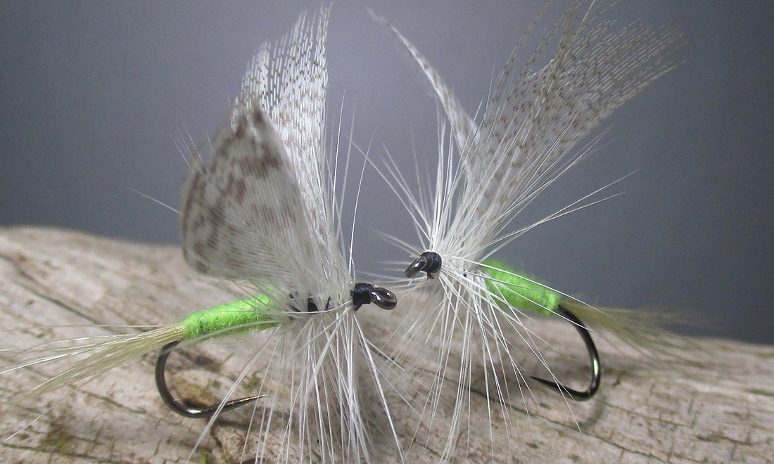 Burr's Bright Fly - Fly of the Month | J. Stockard