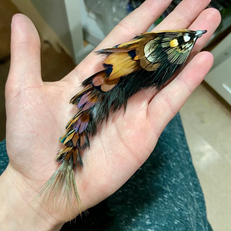 Full Dressed Feather Game Changer Fly Pattern | J. Stockard