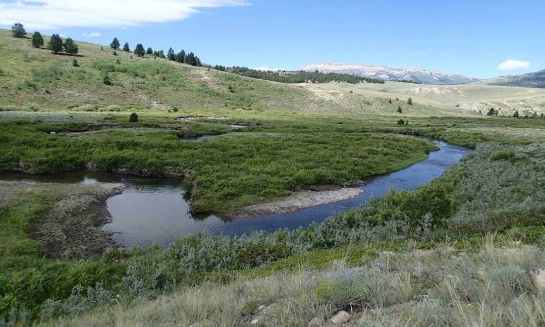 Day Trip on the Upper Ruby River