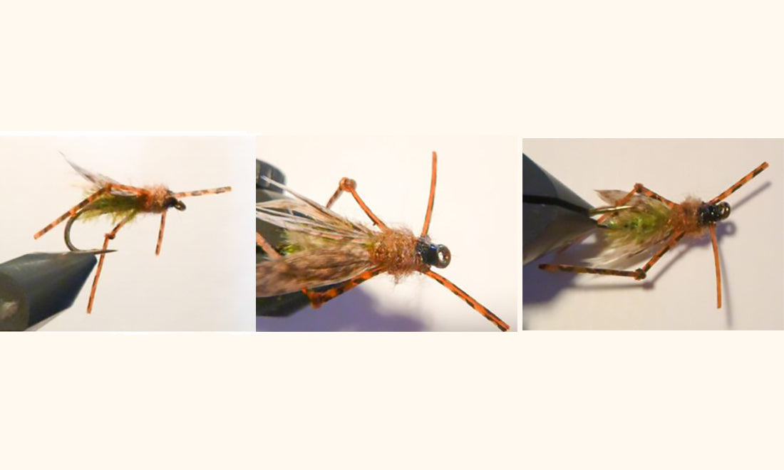 Drowned Hopper Fly Pattern | J. Stockard Fly Fishing