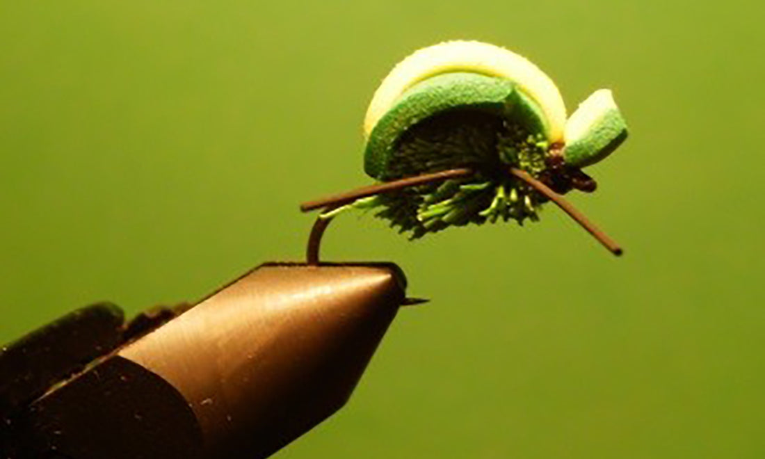 The "Killer" Beetle Fly Pattern | J. Stockard Fly Fishing