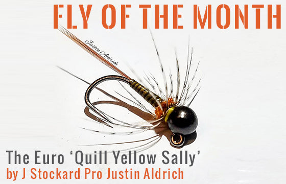 Euro Quill Yellow Sally Fly | Fly of the Month | J. Stockard