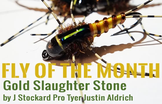 Slaughter Stone Golden Stone Fly | J. Stockard Fly Fishing