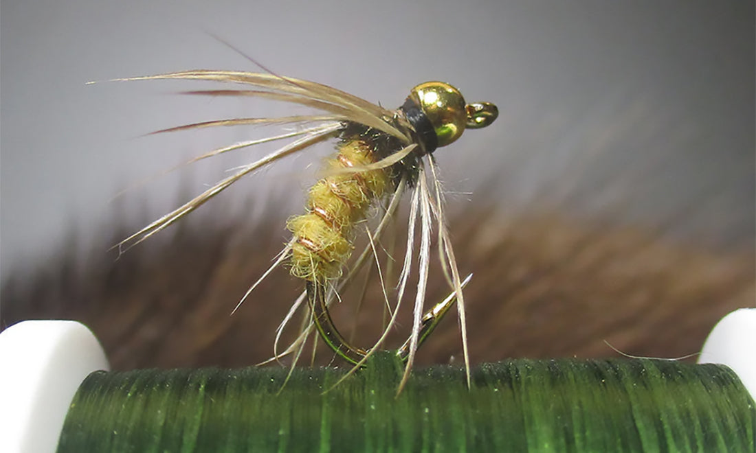 Bead Head Yellow Soft Hackle Caddis Pupa Fly | J Stockard