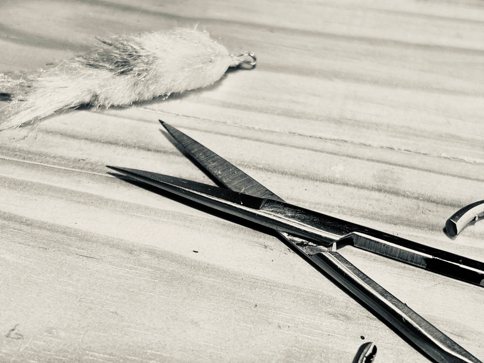 Scissors Science: How Blade Design and Steel Shape Fly Tying