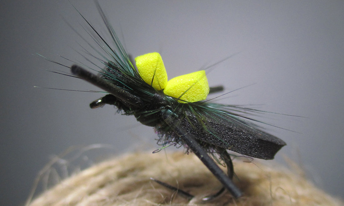 Mega Beetle Fly Pattern | J. Stockard Fly Fishing