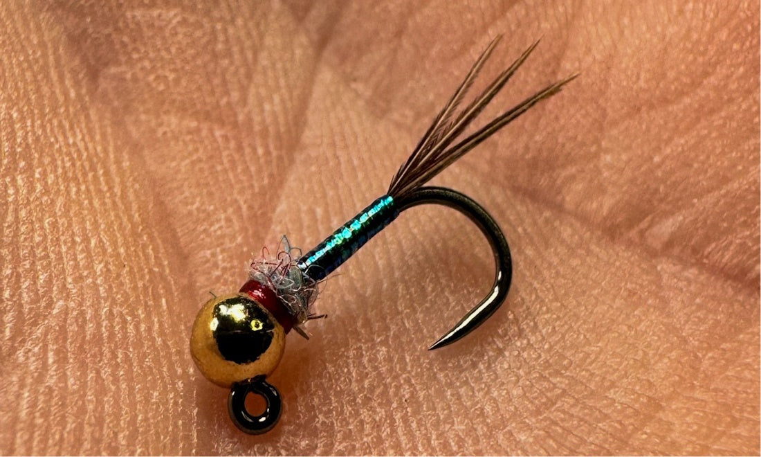 Jigged Rainbow Warrior - Fly of the Month