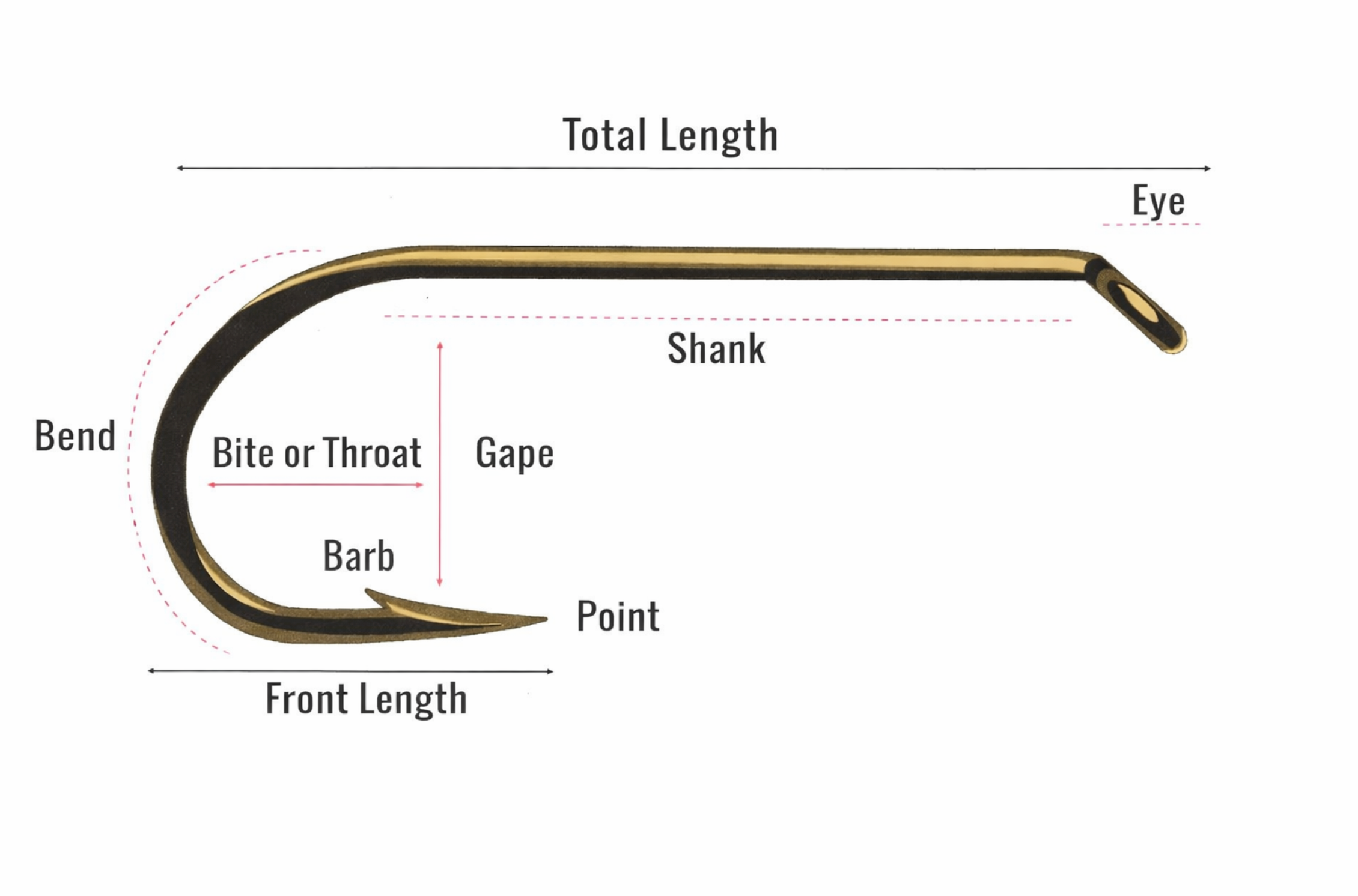 Fly Tying Hook Anatomy: Complete Guide | J Stockard