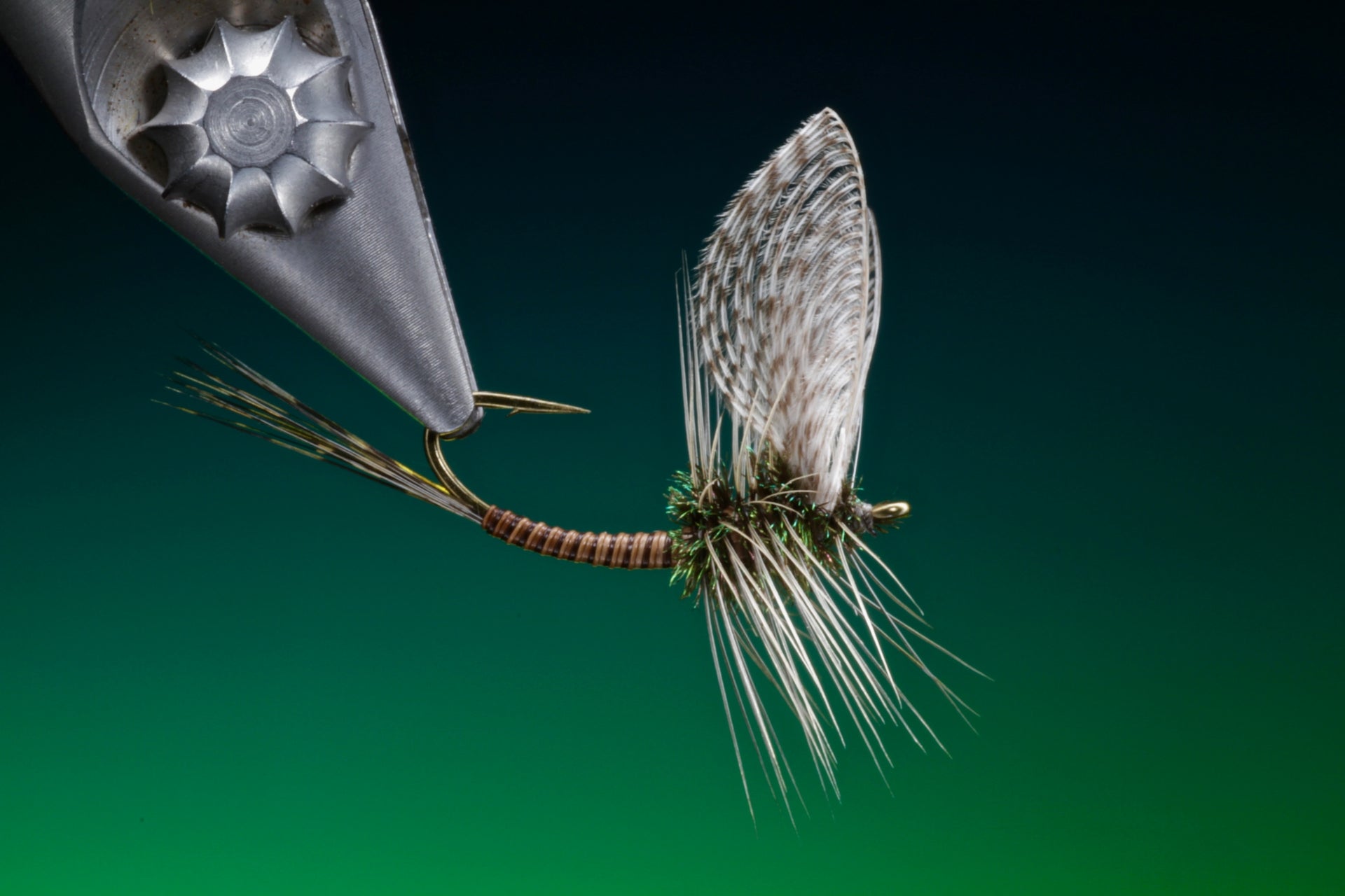 Fly of the Month - Wally Wing Mayfly Dun