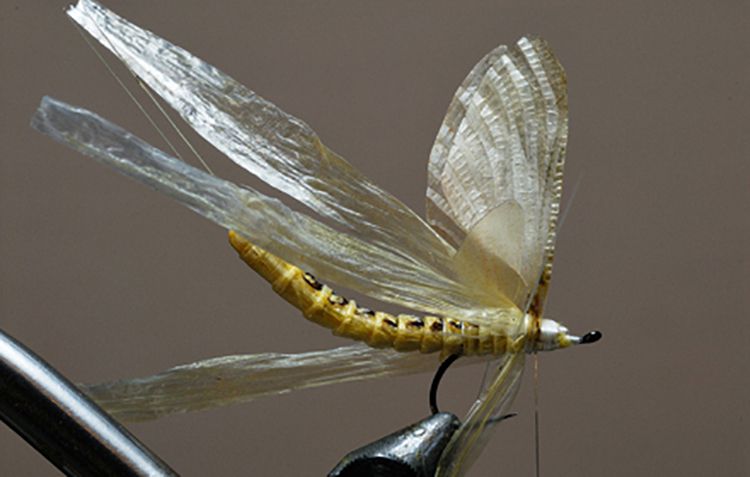 Discover Fly Tying Wings & Materials at J. Stockard Fishing