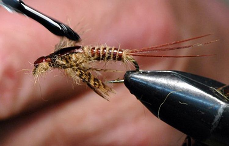 Top Fly Tying Cement, Epoxy, & Glue Selection | J. Stockard