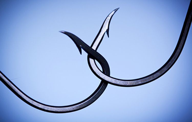 Top Fly Tying Hooks: Daiichi, Mustad, Fulling Mill & More