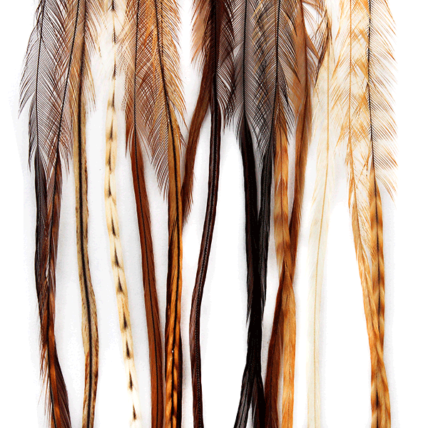 Whiting 100 Packs Premium Dry Fly Hackle | J. Stockard