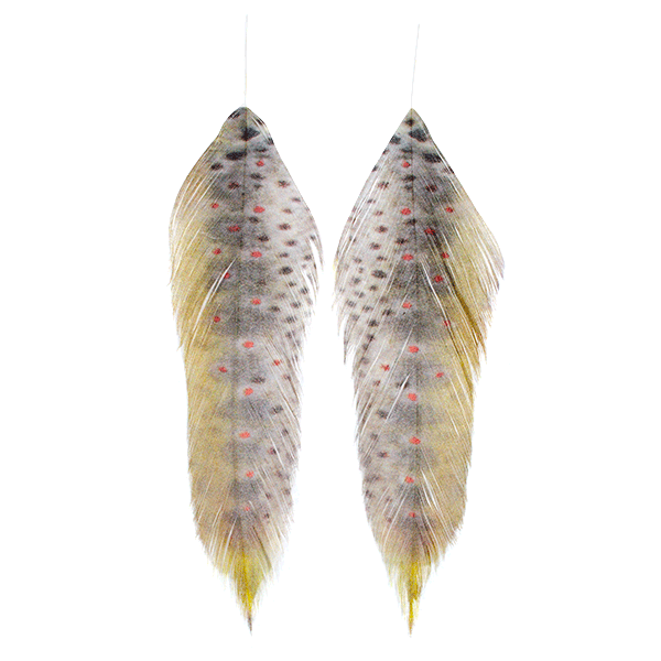 Galloup's Fish Feathers