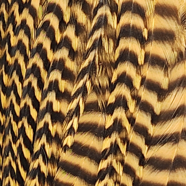Wooly Bugger | Ewing | Hackle | J. Stockard Fly Fishing