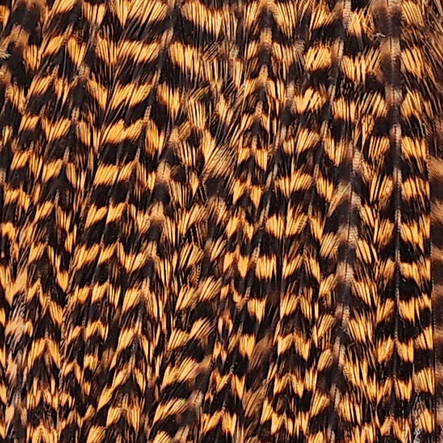 Wooly Bugger | Ewing | Hackle | J. Stockard Fly Fishing