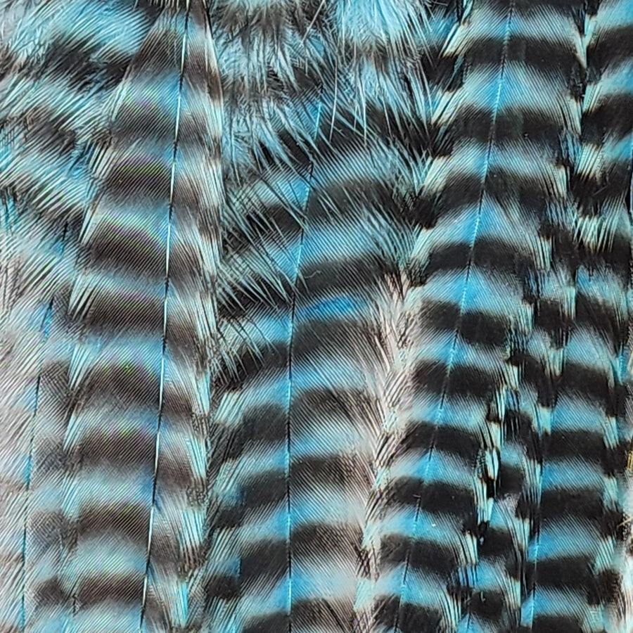 Wooly Bugger | Ewing | Hackle | J. Stockard Fly Fishing