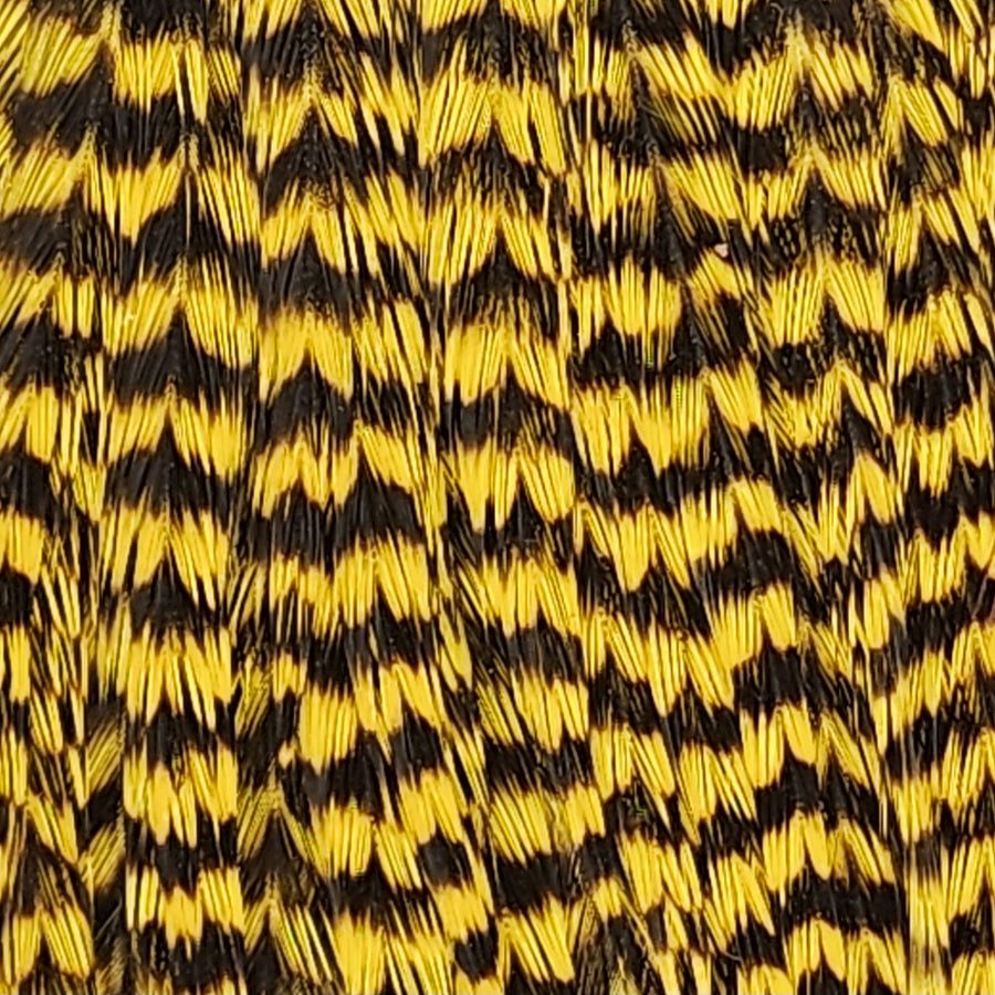 Wooly Bugger | Ewing | Hackle | J. Stockard Fly Fishing