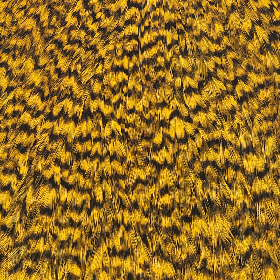 American Rooster Cape | Whiting Farms | J Stockard