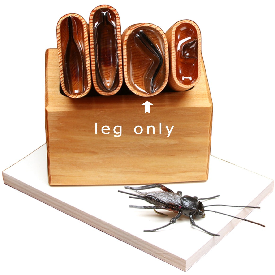 Tomsu's Supreme Cricket Leg Cutter | River Road Creations