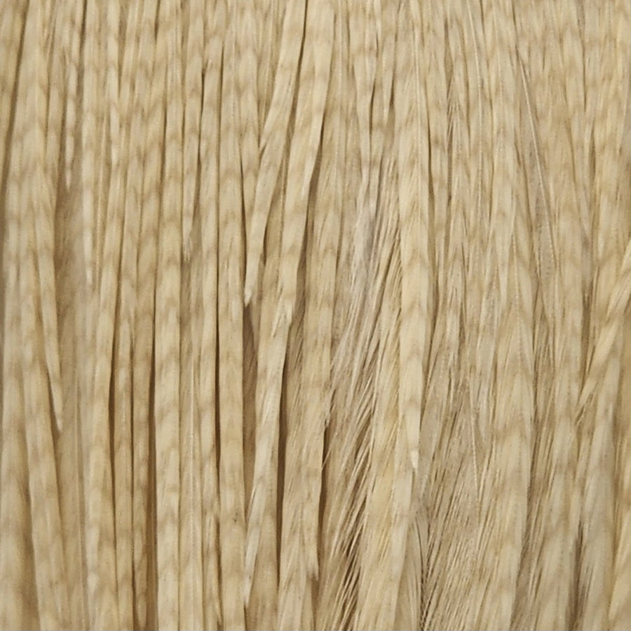 Whiting Farms | Bugger Pack – Premium Palmering Hackle