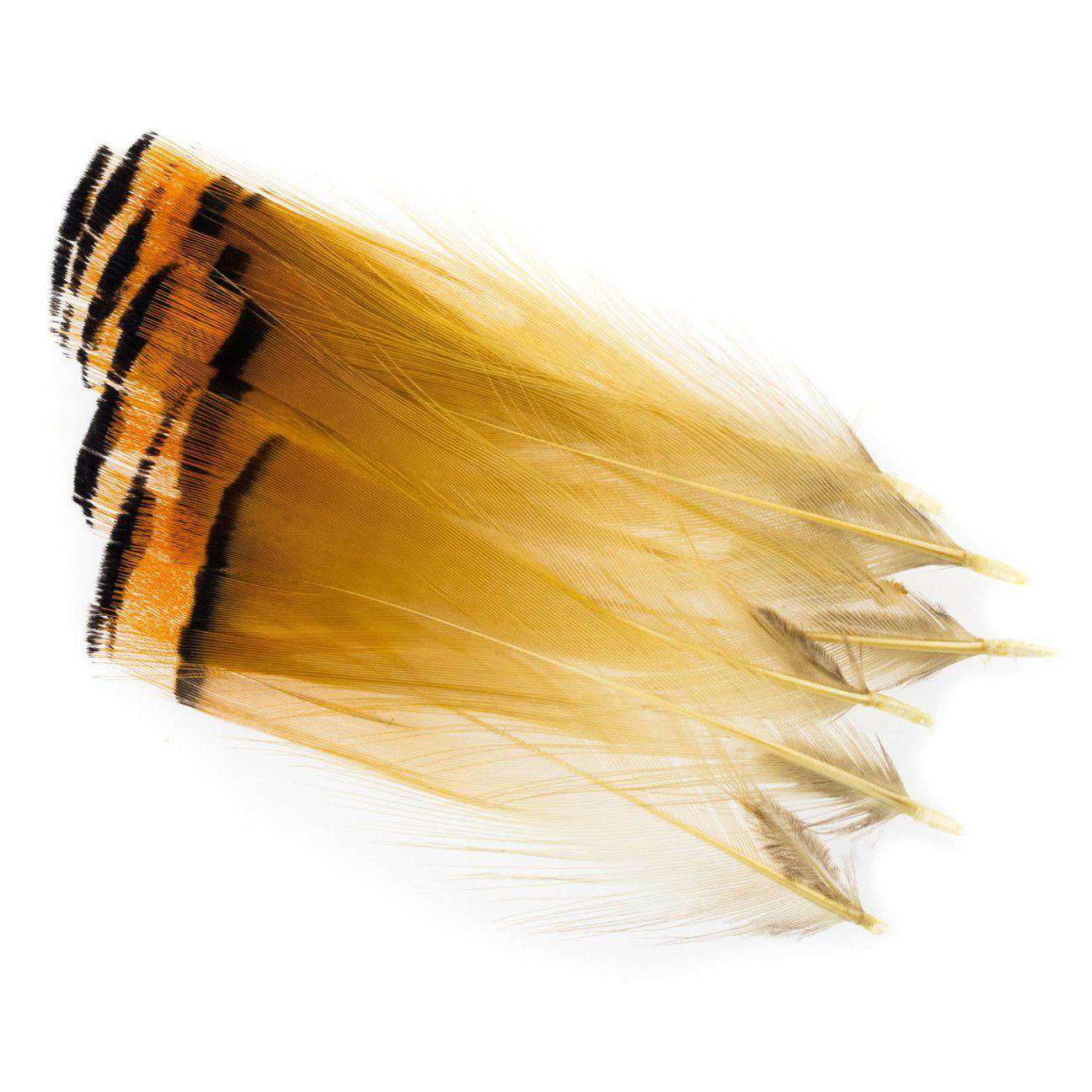 Golden Pheasant Tippets | Hareline | J Stockard