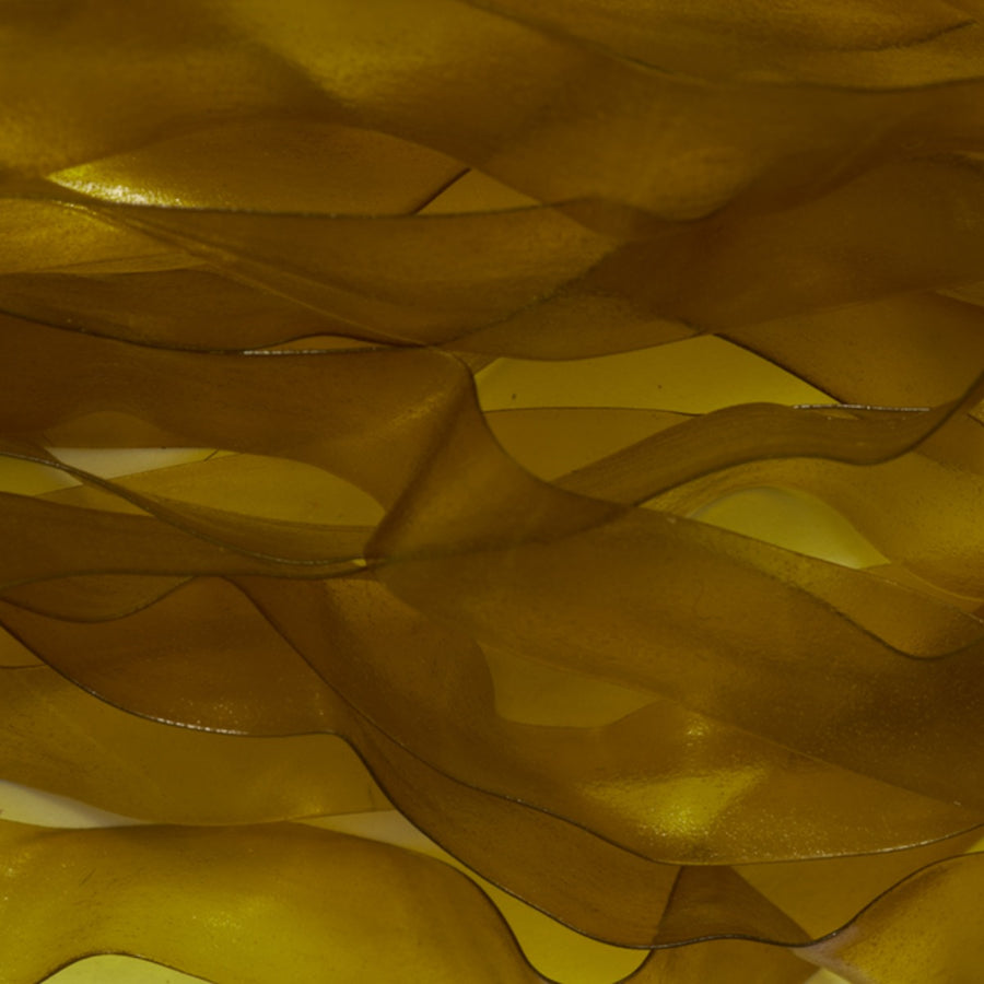 Scud Skin | Fulling Mill | J Stockard