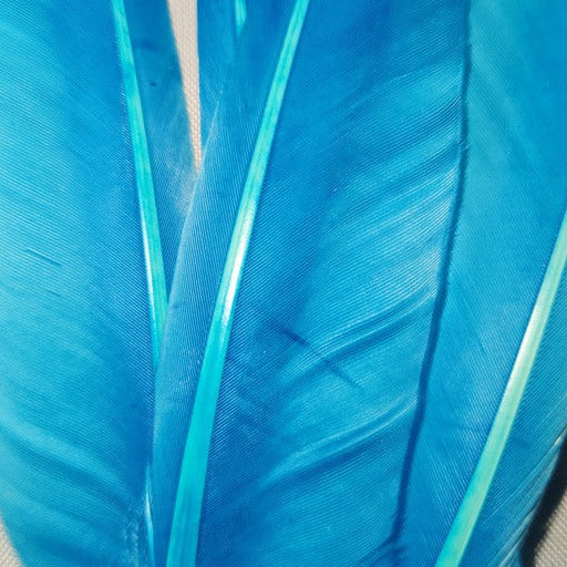 Duck Quills | Hackle Feathers | Nature's Spirit | J Stockard