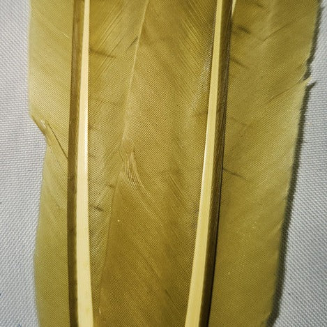 Duck Quills | Hackle Feathers | Nature's Spirit | J Stockard