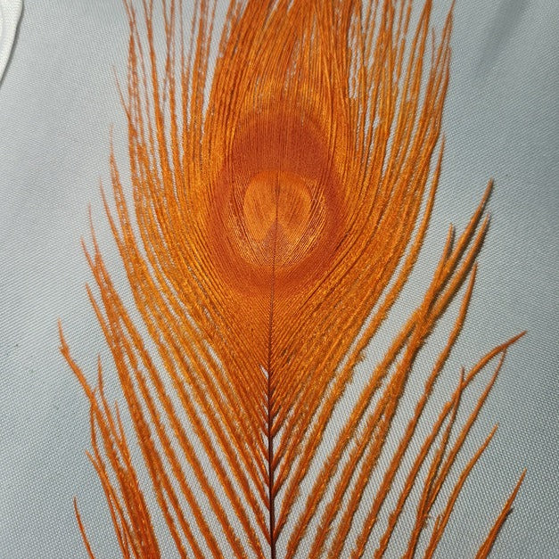 Bleached & Dyed Peacock Sticks | Nature's Spirit