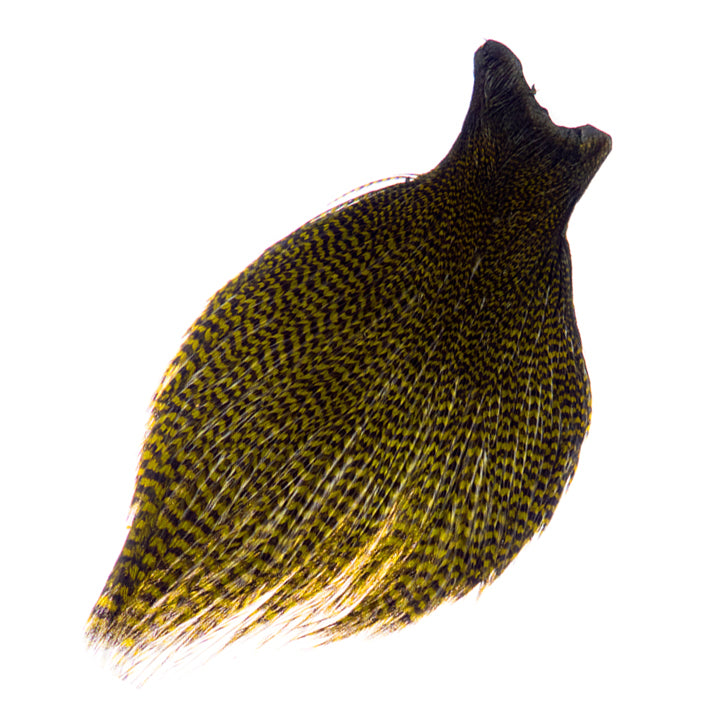 Top Cape | Ewing | Hackle Feathers | J. Stockard Fly Fishing