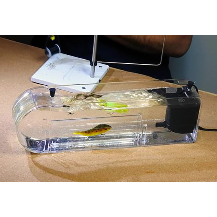 Fly Testing Device II | Gear | Flymen Fishing | J Stockard