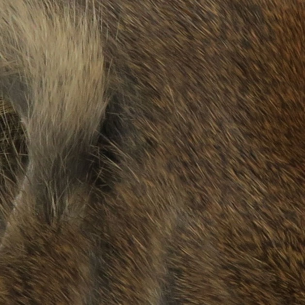 Complete Micro Stripped Pine Squirrel Hide | Hareline