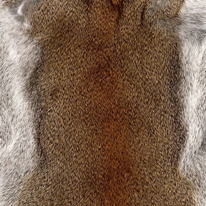 Squirrel Skin, Pine | Fur & Hair | Wapsi | J Stockard