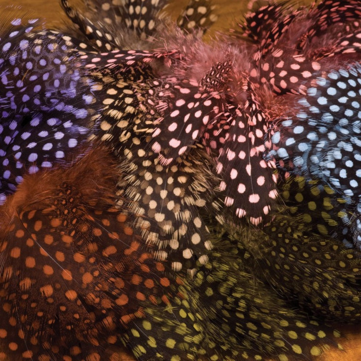 Premium Guinea Feathers | Hareline | J Stockard Supply
