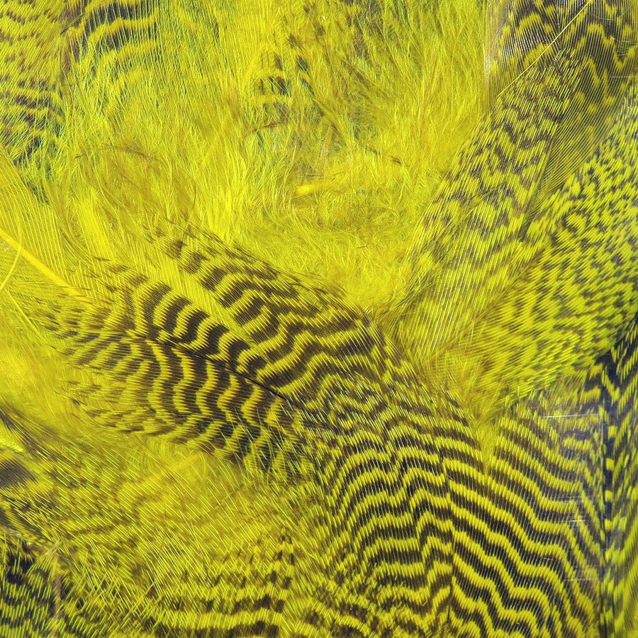 Teal Flank Feathers | Hareline | J Stockard